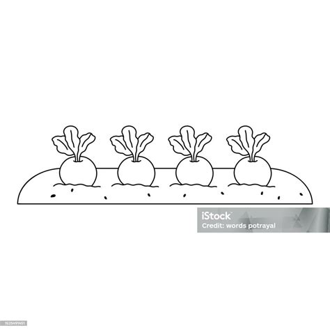손으로 그린 아이들은 만화 벡터 그림을 그리며 토양 아이콘에 귀여운 붉은 무를 그려 흰색 배경에 격리되어 있다 건강한 생활방식에 대한 스톡 벡터 아트 및 기타 이미지