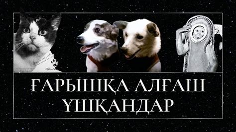 Ғарышқа алғаш ұшқандар жайлы қызықты мәліметтер. Алғаш ұшқан ғарышкер ...