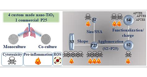Impact Of The Physicochemical Features Of TiO2 Nanoparticles On Their In Vitro Toxicity