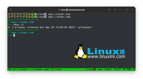 Linux 终端复用神器 Tmux 使用详解 Linux迷