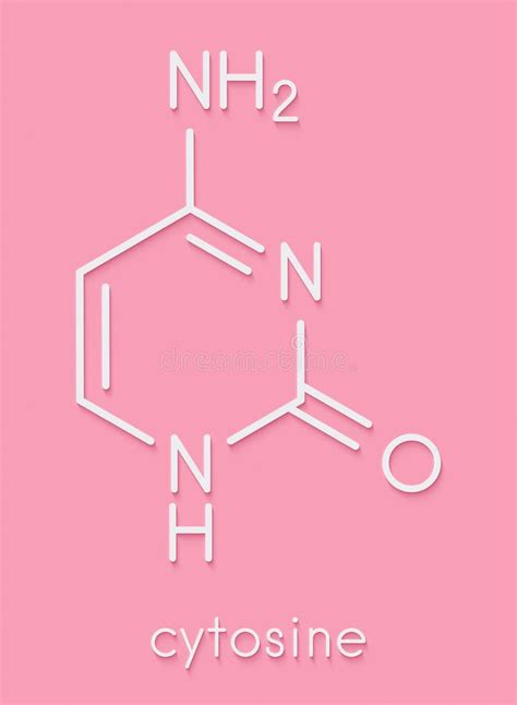 Pyrimidine Bases Stock Illustrations 56 Pyrimidine Bases Stock Illustrations Vectors