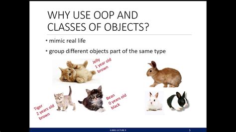 Python Data Class Inheritance Quick Answer Brandiscrafts