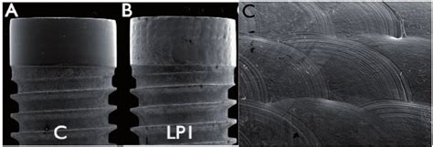 Low Magnification Scanning Electron Micrographs Of A Control C And