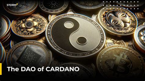 storm partners on linkedin cardano