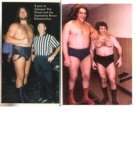 Wwe Big Show Vs Andre The Giant