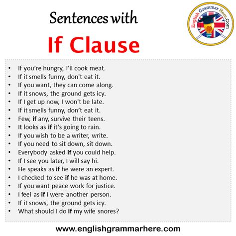 Sentences With If Clause If Clause In A Sentence In English Sentences For If Clause English