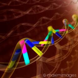 Image Of DNA Sequence Illustration Stock Image MXI31021