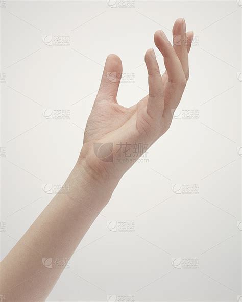 女性手部姿势的集合