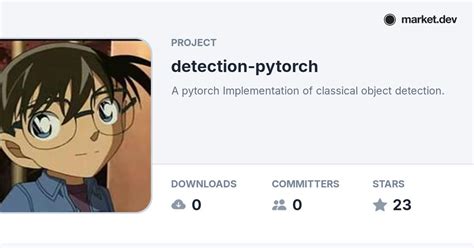 Detection Pytorch Ecosystem Directory Marketdev