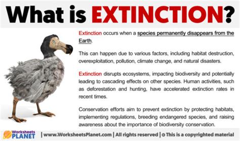 What Is Extinction Definition Of Extinction