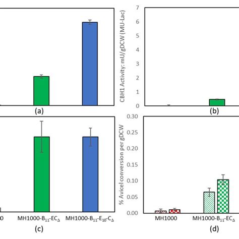 Enzyme Activity Profiles Of Recombinant Yeast Strains After 72 H