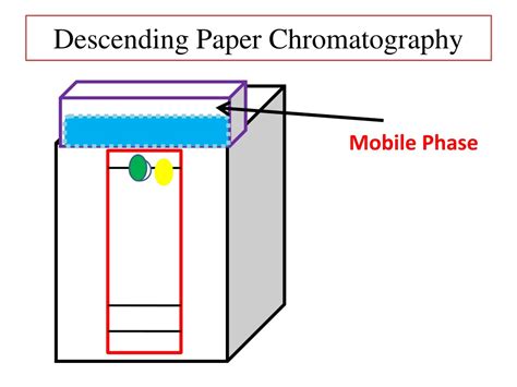 Descending Paper Chromatography Diagram At Joseph Arellano Blog
