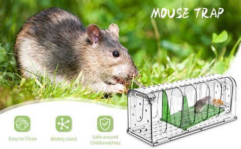 2 Pack Humane Mouse Trap No Kill, Mouse Traps Indoor Outdoor, Catch and Release, Reusable Mice ...