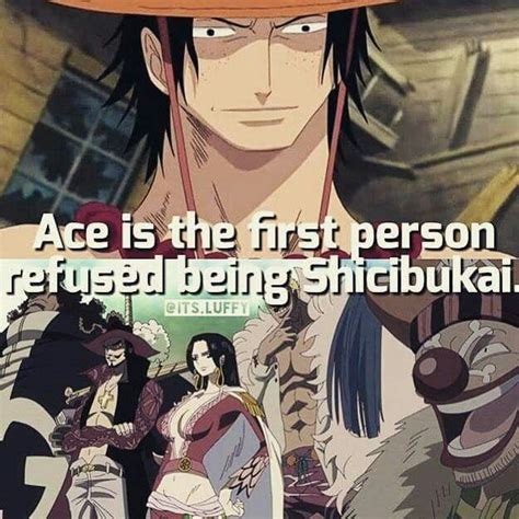 Pin By Grace Rouse Barron On One Piece One Piece Theories One Piece