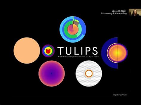 Free Video Visualizing Mesa Models With Tulips How To Python From Free Video Visualizing Mesa Models With Tulips How To Python From