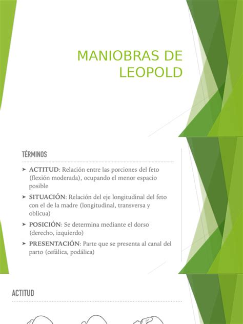 Maniobras De Leopold Pdf
