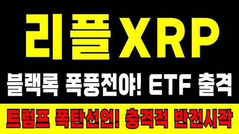 리플 Xrp 전망⭐충격적 반전 시작되나 블랙록 폭풀전야 Etf출격 트럼프와 리플ceo 충격발언 리플전망 리플코인 리플 Xrp전망 리플xrp Youtube
