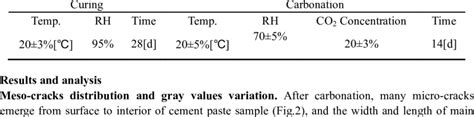 Curing And Carbonation Conditions Download Table