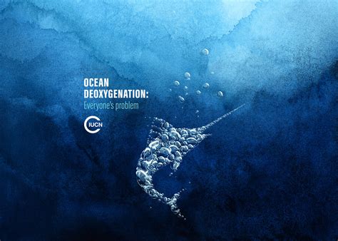 Grey Heron Ocean Deoxygenation