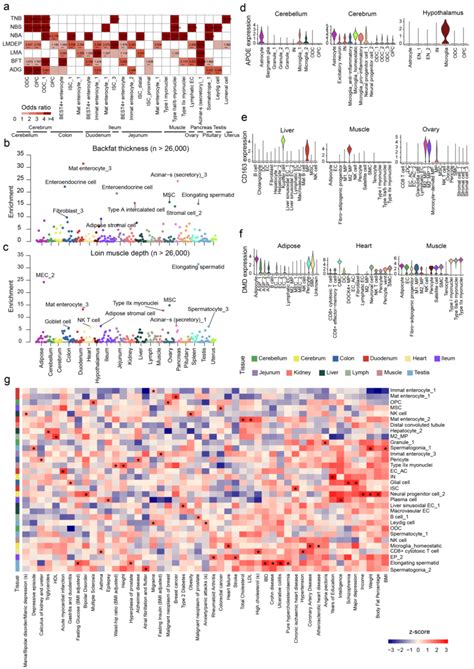 Association Of Single Cell Transcriptomic Profiles With Complex
