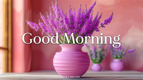 아침 기분 🍀 하루의 시작부터 좋은 기운을 가져다주는 밝은 피아노 연주 🌼 Good Morning Youtube