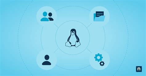 Linux User Management A Complete Guide Ninjaone