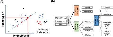 Identifying The Underlying Phenotypic Axes Using A Bayesian Mixed Model