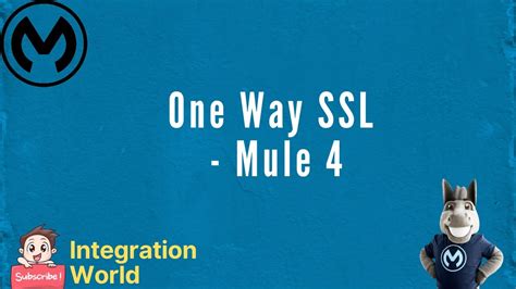 One Way SSL Mule 4 YouTube