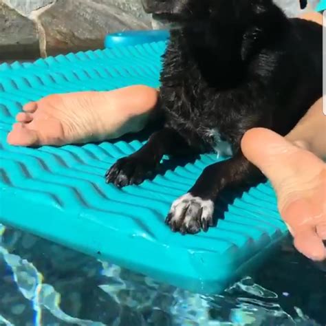 Steph Barkleys Feet