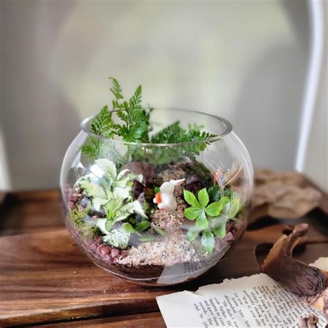 미니정원 테라리움 만들기 인천 테라리움 취미생활 이끼 테라리움 반려식물 작은 화분 식물키우기 네이버 블로그