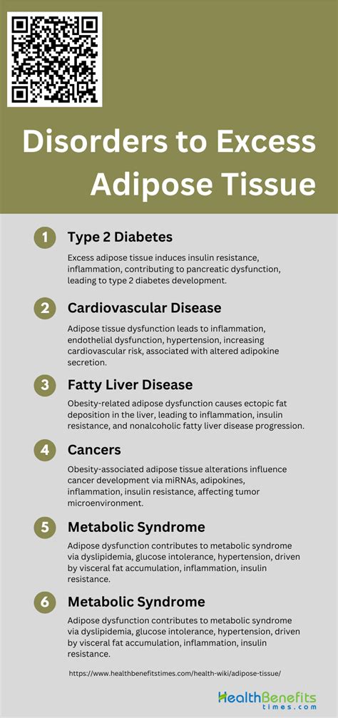 What Is Adipose Tissue Health Benefits