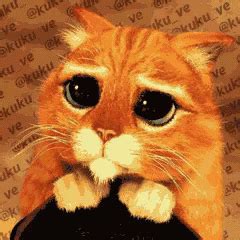 Sad Cat S