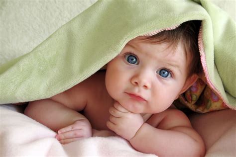 Debunking Misconceptions The Truth About Surrogacy Agencies Fox News Tips