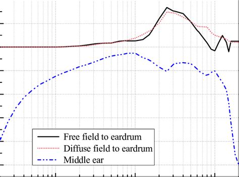 Figure A1 Transfer Functions Of The Human Ear Download Scientific Diagram
