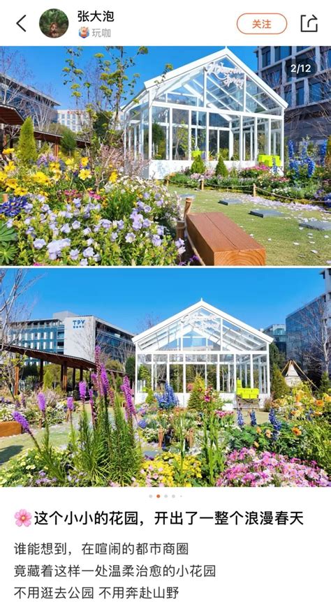 逛花境、赶花市、品咖啡！闵行这座超出片的 城市花园”，还没打卡吗