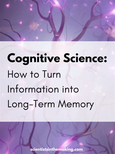 Cognitive Science How To Turn Information Into Long Term Memory Scientists In The Making