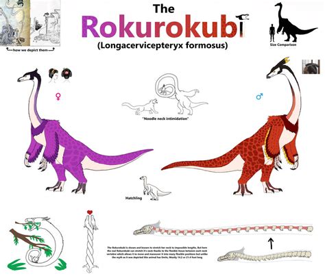 Speculative Yokai The Rokurokubi By Dino1998 On Deviantart