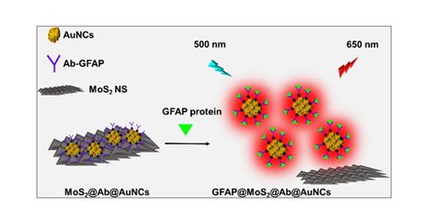 Gold Nanoclustermolybdenum Disulfide Nanosheet Couple Based