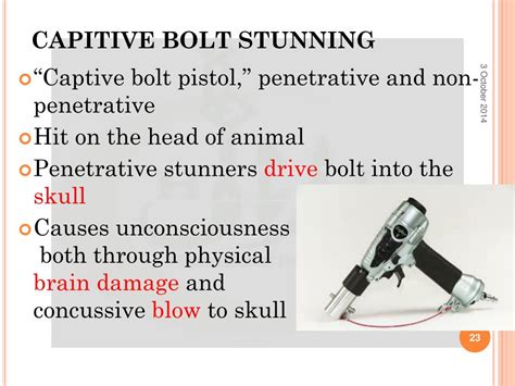 PPT - ANIMAL WELFARE AND STUNNING PowerPoint Presentation, free ...