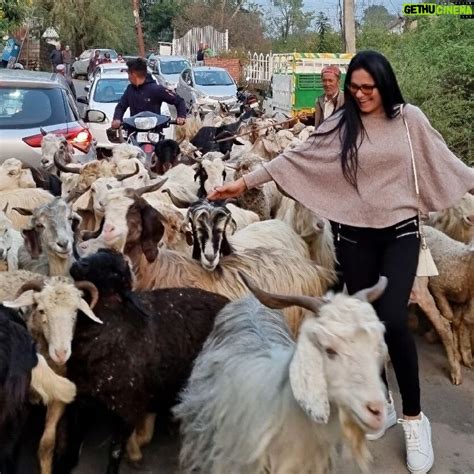 Tassnim Sheikh Most Liked Photos And Posts Gethu Cinema