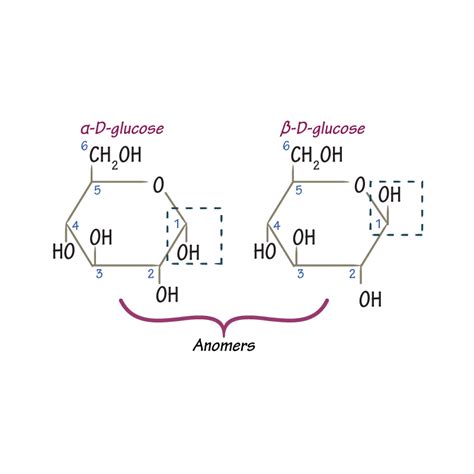 Biochemistry Glossary Anomers Draw It To Know It