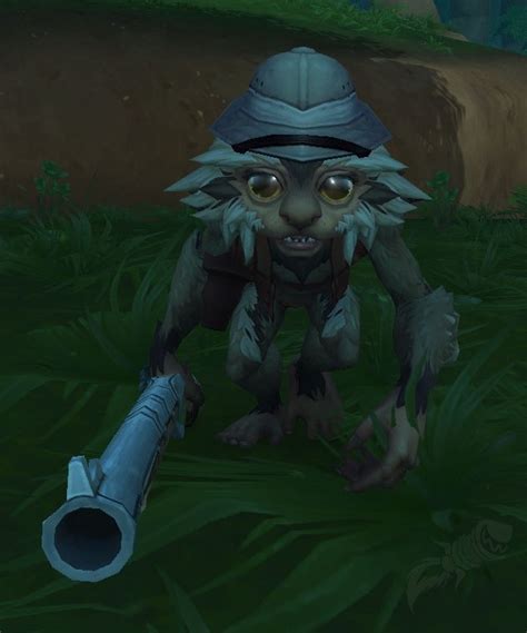 Helmet Missingway Npc World Of Warcraft