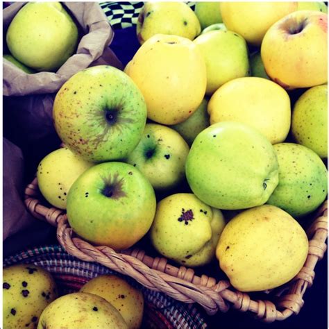 Mutsu Apples Information Recipes And Facts