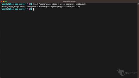 Python 的 Django 应用内部是如何使用内存的（使用 Openresty Xray） Openresty 官方博客