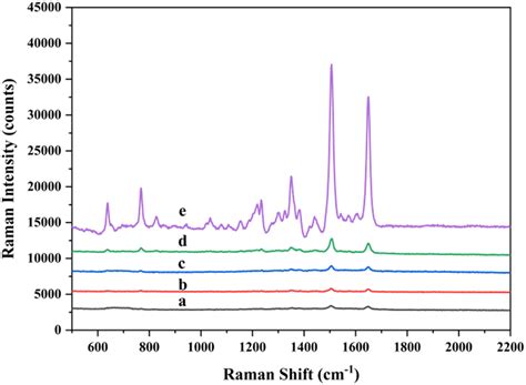 sers spectra obtained from control experiments a in the absence of