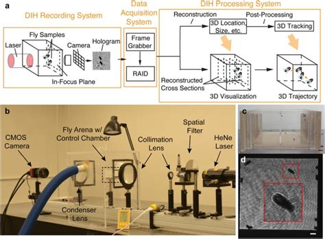 3d Holographic Observatory For Long Term Monitoring Of Complex Behaviors In Drosophila