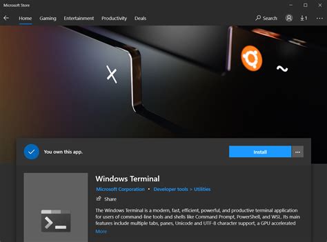 Windows Terminal Guide WSL