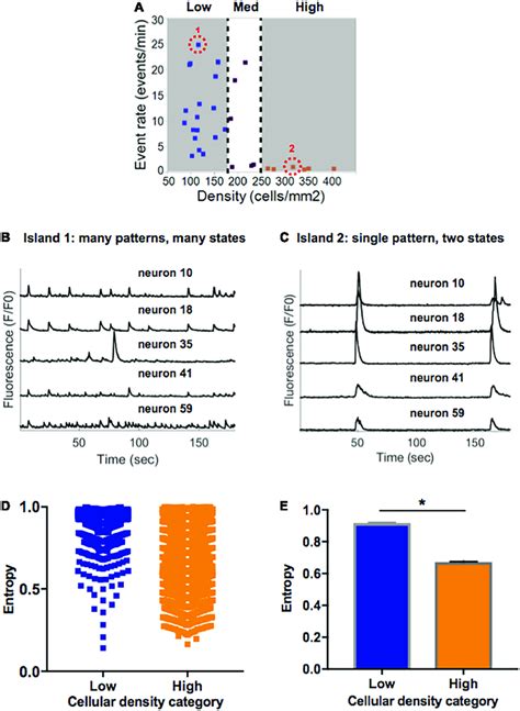 Information Entropy In Islands Of Varying Densities A Selected Download Scientific Diagram
