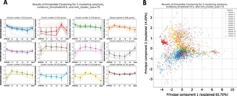 Clustering Analysis Of Time Series Gene Expression Data A Clustering