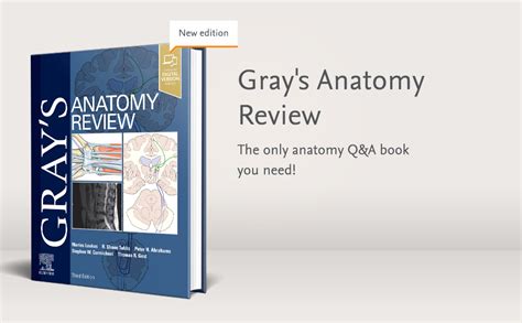 Gray S Anatomy Review At Travis Poteete Blog